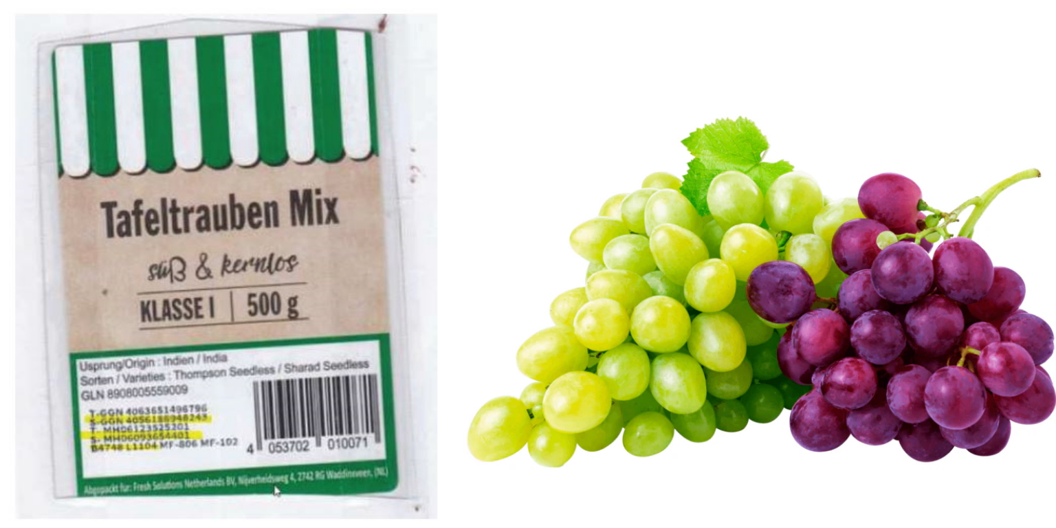 Aktuelle Rückrufaktionen