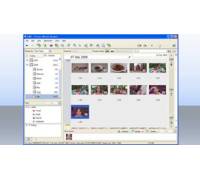 Sony Picture Motion Browser Test Multimedia-Suite