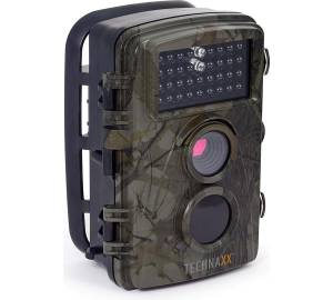 Wildkamera Test: Beobachtungen im Wald und im Garten