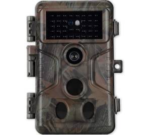 Wildkamera Test: Beobachtungen im Wald und im Garten