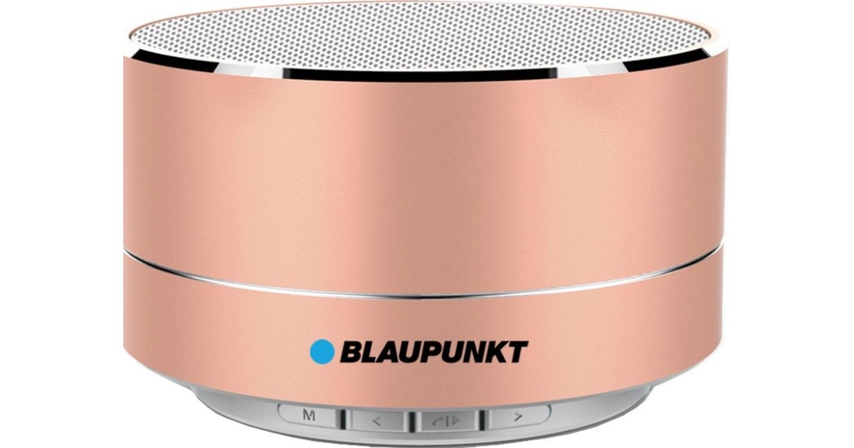 Blaupunkt BLP3100 | Kleine Box zum kleinen Preis