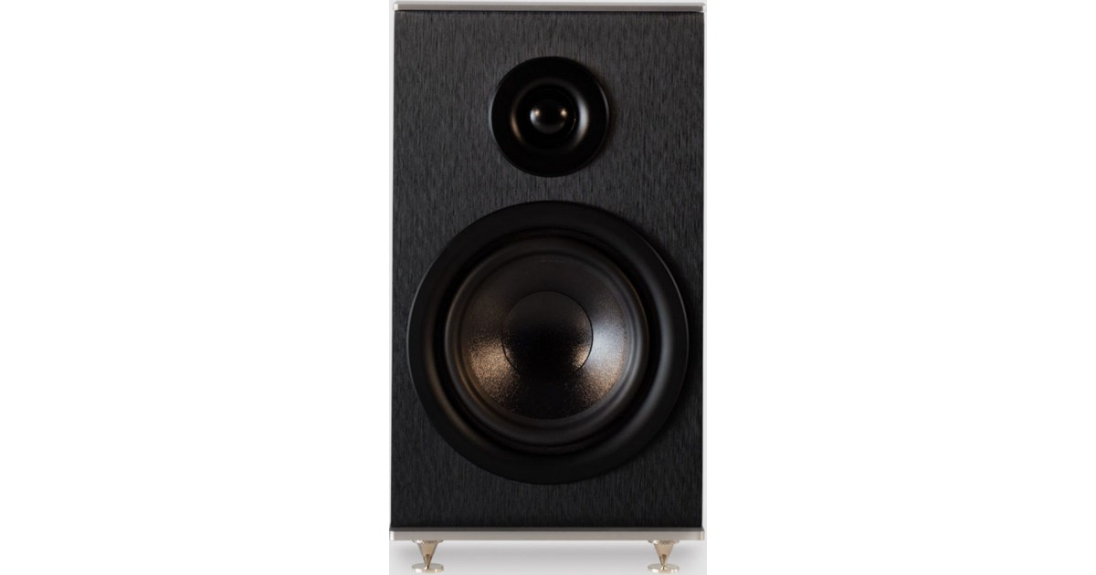 T + A Caruso R 10 im Test | Unsere Analyse zum Lautsprecher