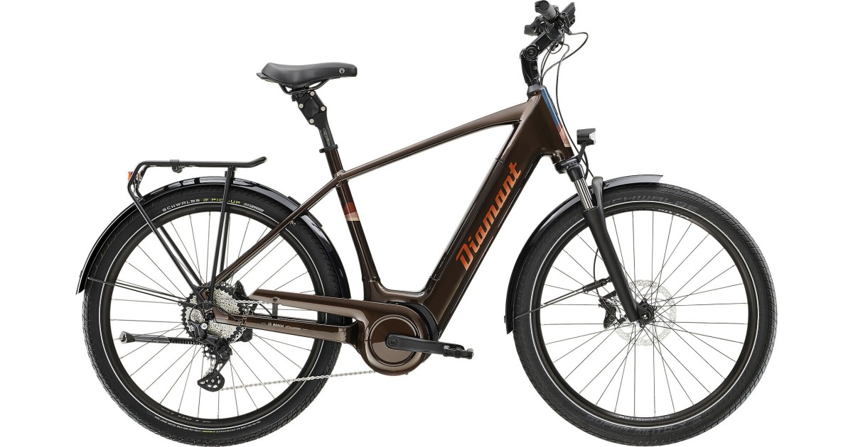 Diamant E Bike Test