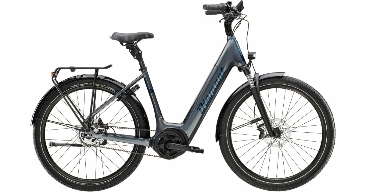 E Bike Tiefeinsteiger Test